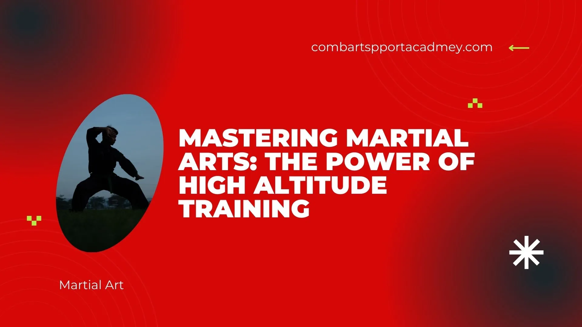 Mastering Martial Arts: The Power of High Altitude Training